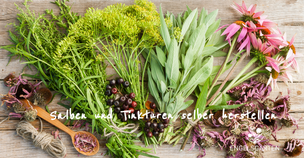 Natürliche Hausapotheke - Salben & Tinkturen - Engelsgarten